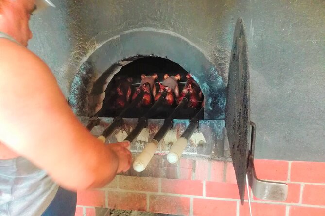 Bairrada Winery Route, full-day from Coimbra - Key Points