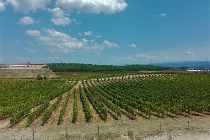 Bairrada Winery Route, full-day from Coimbra - Frequently Asked Questions