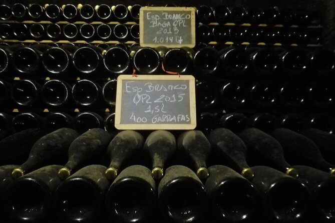 Bairrada Winery Route, half day from Coimbra - Optional: Lunch & Additional Delights