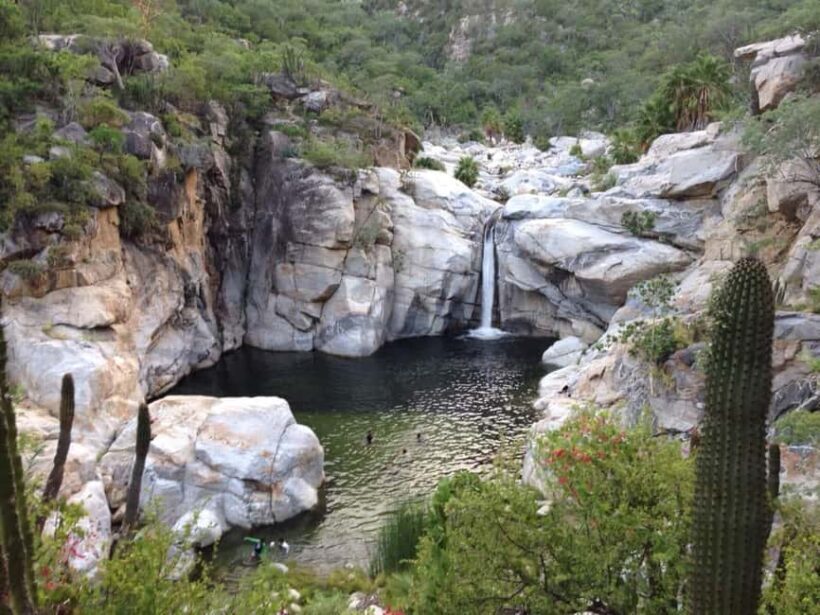 Baja Sur 4 days / 3 nights - Key Points