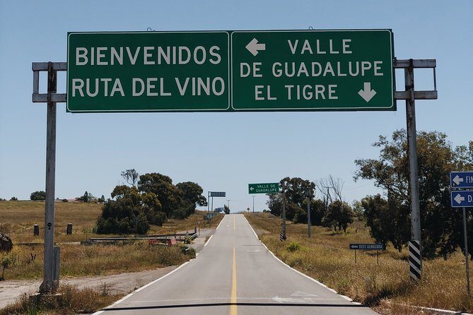 Baja Tour Guide wine tour - The Experience in Detail