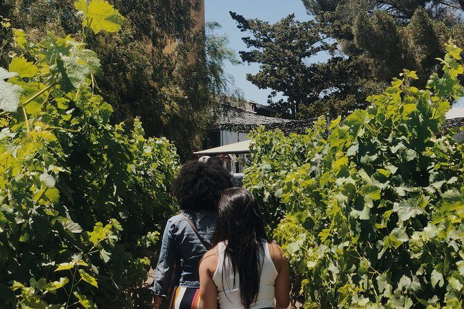 Baja Tour Guide wine tour - FAQs