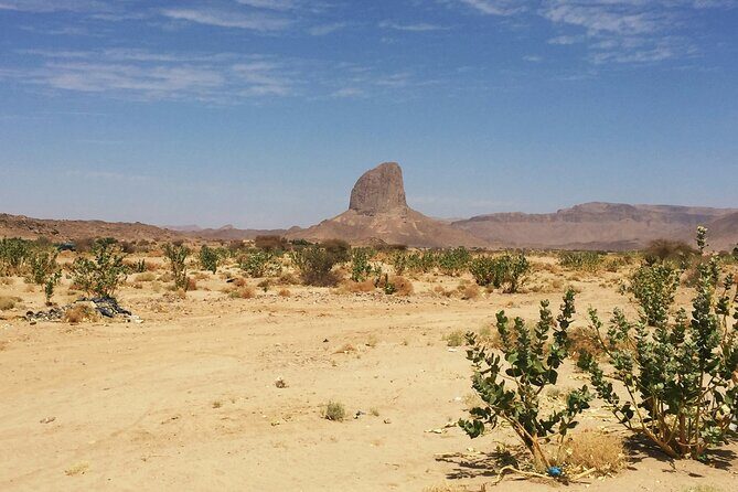 Baja UTV Adventure Canyon Exploration and Tequila Tasting - Exploring Baja California Sur with a UTV