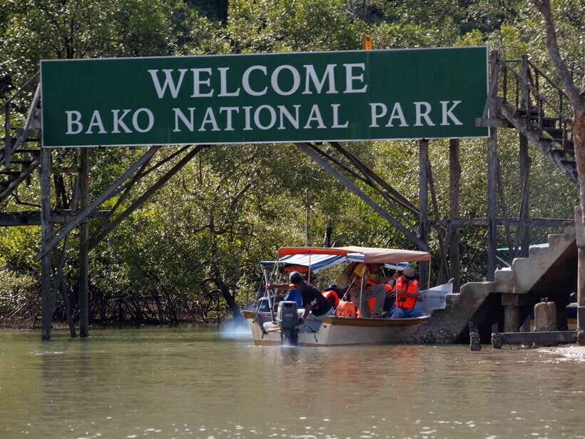 Bako National Park - An In-Depth Look at the Bako National Park Tour