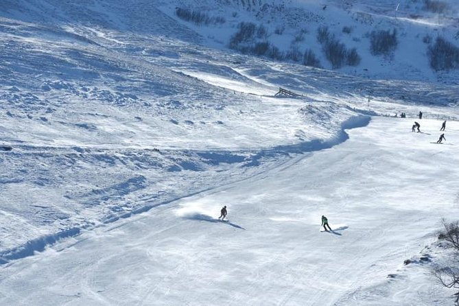 Bakuriani-Borjomi full day trip - Transportation and Timing