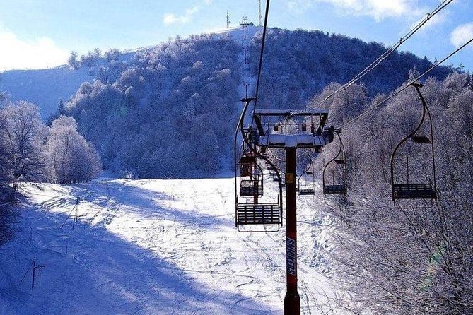 Bakuriani Ski Resort and the Legendary Borjomi (Group Tour) - Transportation: Comfort and Convenience