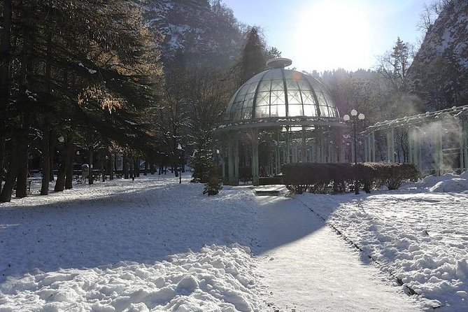 Bakuriani Ski Resort and the Legendary Borjomi (Group Tour) - Additional Considerations: Flexibility and Accessibility