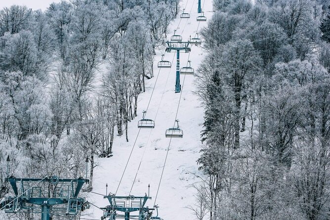 Bakuriani Ski Resort Private Day Tour from Tbilisi Snow Adventure - An In-Depth Look at the Tour Experience