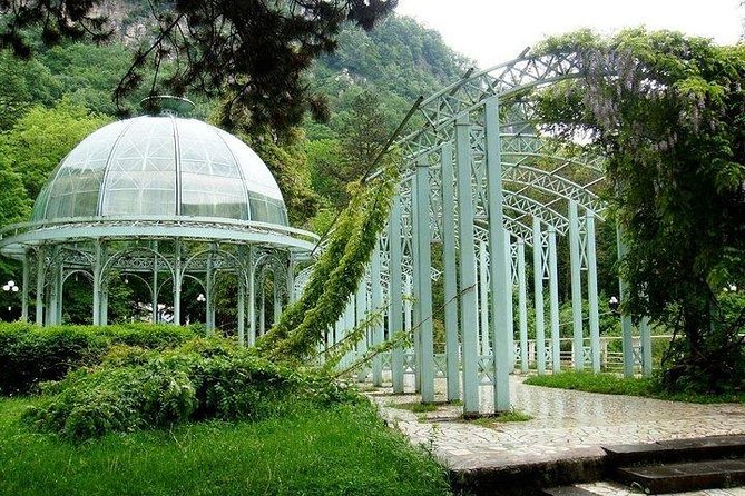 Bakuriani Ski Resort Private Day Tour from Tbilisi Snow Adventure - Final Thoughts