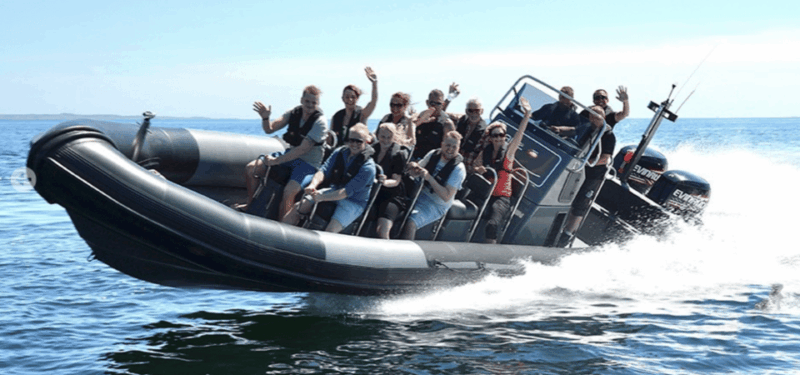 Balade en mer de Villefranche sur Mer & stop baignade - Price and Value