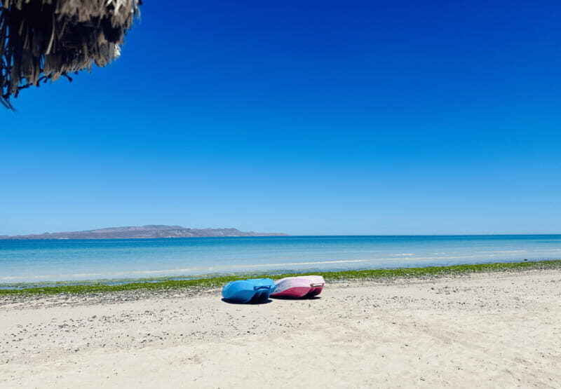 Balandra and Tecolote Beaches Day Trip with Lunch - The Experience From Real Travelers