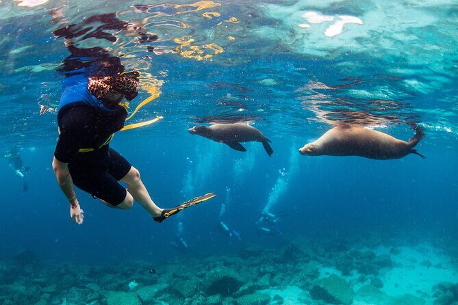 Balandra Bay Snorkeling Adventure - Key Points