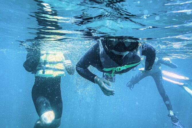 Balandra Bay Snorkeling Adventure - Authentic Reviews and Traveler Experiences