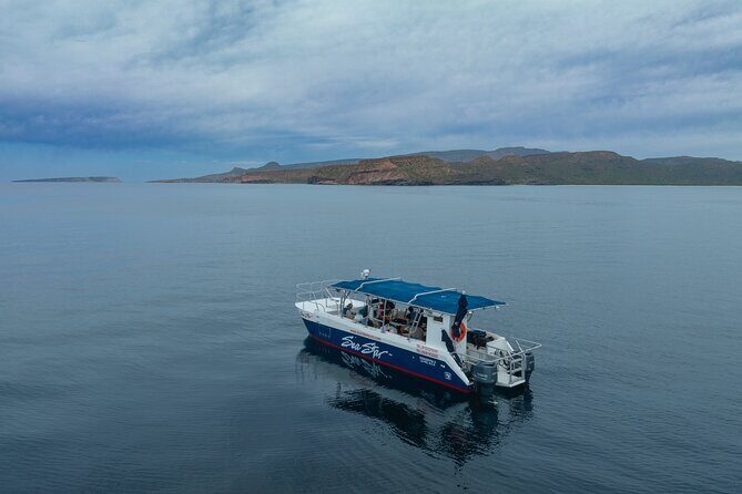 Balandra Bay Snorkeling Adventure - Final Thoughts: Who Is This Tour Best For?
