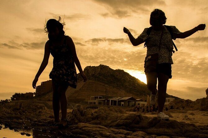Balandra Beach & City Tour La Paz & Todo Santos hotel California - The Bottom Line