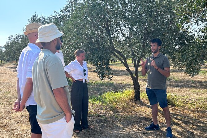 Balestrate Olive Grove Tour: Wine and Olive Oil Tasting - Indulge in a Sicilian Culinary Experience