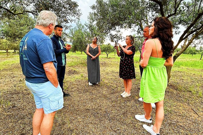 Balestrate Olive Grove Tour: Wine and Olive Oil Tasting - Logistics and Transportation