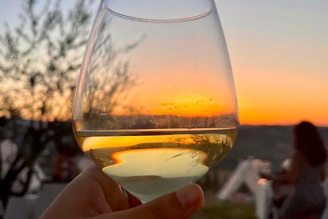 Balestrate Olive Grove Tour: Wine and Olive Oil Tasting - Guest Ratings and Testimonials