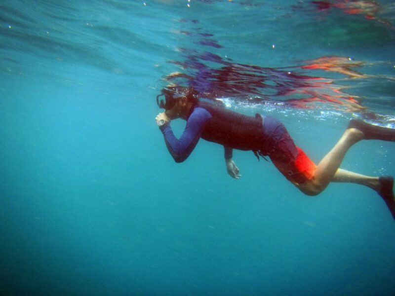 Bali: 1 Hour Snorkeling at Nusa Dua Beach - Key Points