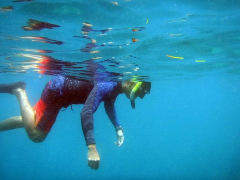 Bali: 1 Hour Snorkeling at Nusa Dua Beach - Detailed Breakdown of the Experience