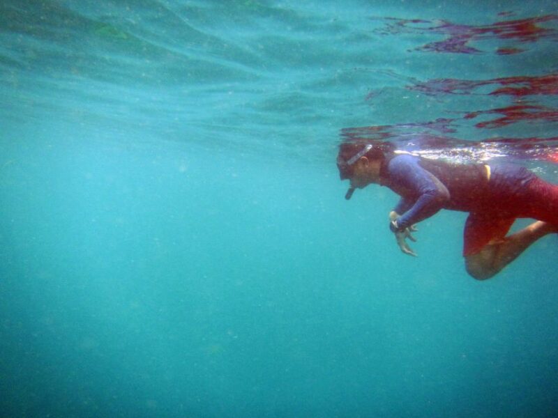 Bali: 1 Hour Snorkeling at Nusa Dua Beach - The Pros and Cons in Perspective