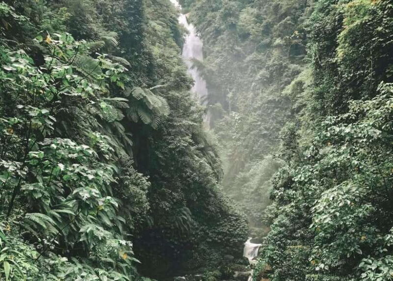 Bali: 100-meter Falls Adventure Private Tour (All-Inclusive) - Authentic Responses from Past Travelers