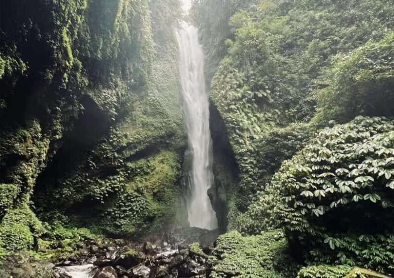 Bali: 100-meter Falls Adventure Private Tour (All-Inclusive) - Final Thoughts: Who Will Love This Tour?