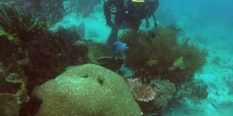 Bali: 2-Day PADI Advanced Open Water Course - Key Points