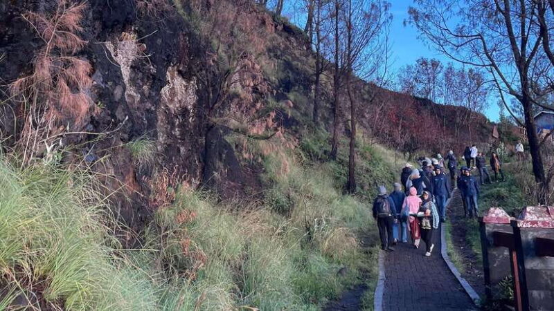 Bali: 2day 1night Bromo Sunrise tour - Authentic Experiences and Traveler Insights