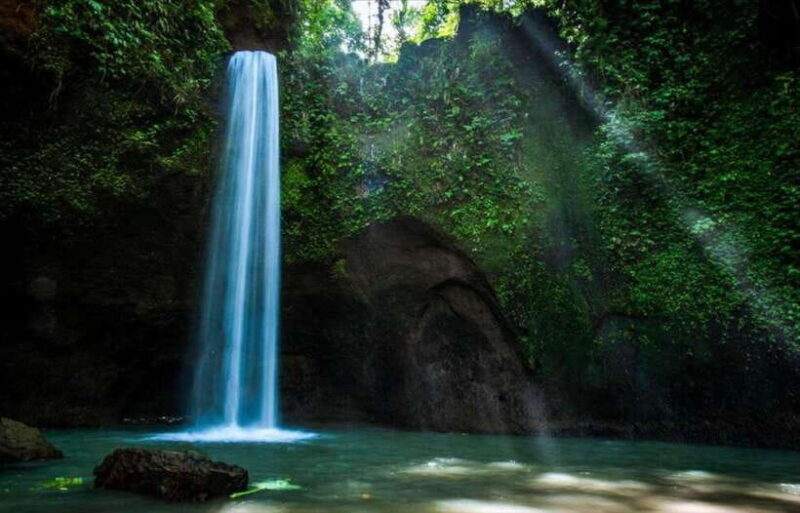 Bali: 3 best waterfall and tegalalang rice terrace - Who Is This Tour Best For?