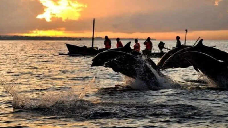 Bali: 3-Day North Bali Tour with Dolphin Watching - Exploring the North Bali Experience in Detail