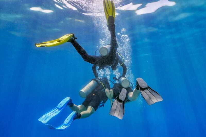 Bali: 3-Days PADI Open Water Diving Course - Why This Course Offers Value