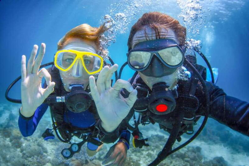 Bali: 3-Days PADI Open Water Diving Course - Who Would Enjoy This Experience?