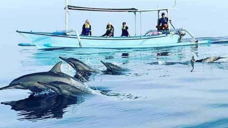 Bali: 5-Day North Bali Coastal Wine & Dolphin Tour Package - Key Points