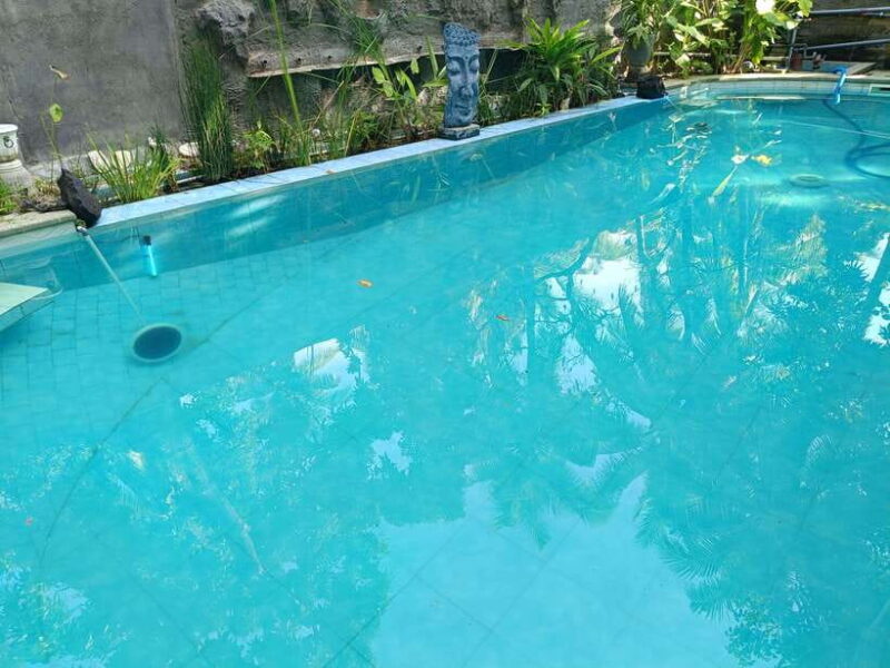 Bali: 5-Day North Bali Coastal Wine & Dolphin Tour Package - Authentic Experiences & Travel Tips