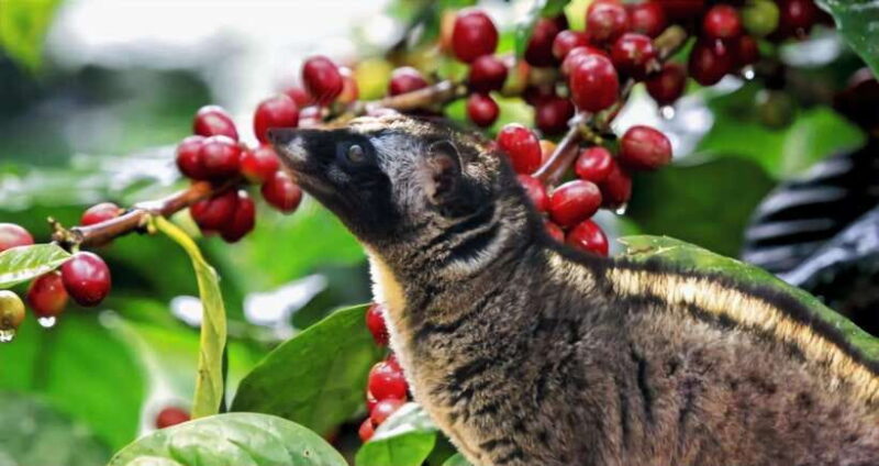 Bali: A Full-Day Tour to Goa Raja, Tibumana and Tukad Cepung - Final Thoughts