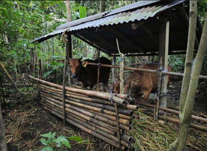 Bali: Agricultural Adventure Private Tour - Practical Tips for Travelers