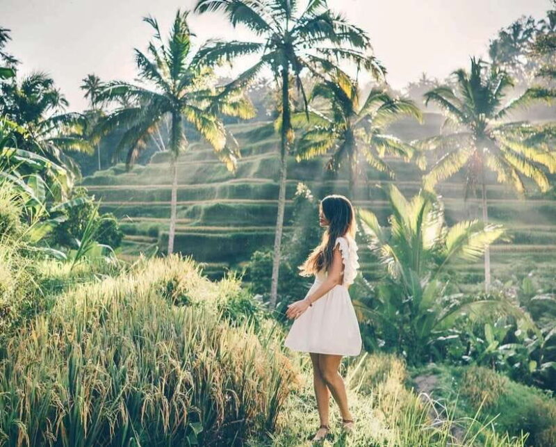 Bali: Agricultural Adventure Private Tour - Who Will Love This Tour?