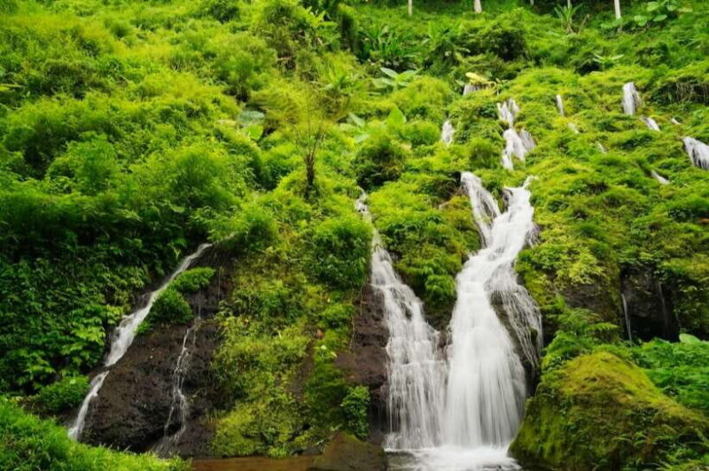 Bali: Agricultural Adventure Private Tour - The Sum Up