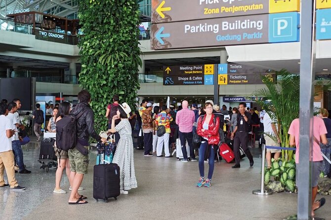 Bali Airport Pick-up to Ubud (Arrival Transfer) - Who Is This Transfer Best For?