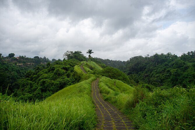 Bali Airport Pickup Transfer to Ubud Area (Private) - What You Can Expect During the Transfer