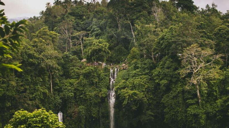 Bali: Aling Aling and Sekumpul Waterfalls Day Trip - Key Points