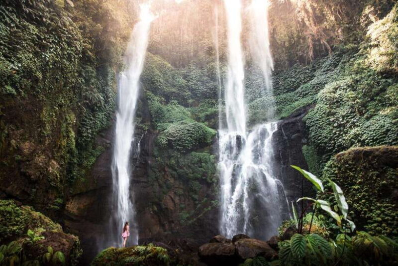 Bali: Aling Aling and Sekumpul Waterfalls Day Trip - What Makes This Tour Stand Out?