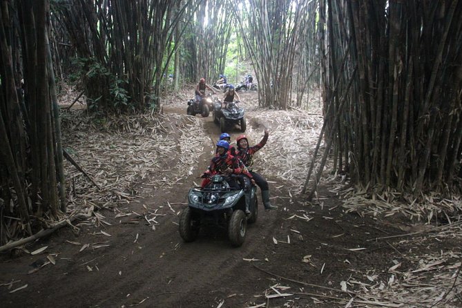 Bali All Inclusive : Tlaga Singha Infinity Pool & Atv Adventure - The Sum Up