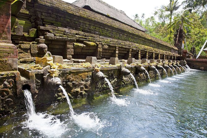 Bali All-Inclusive: Ubud Tour with Entrance Ticket and Lunch Included - Who Will Love This Tour?