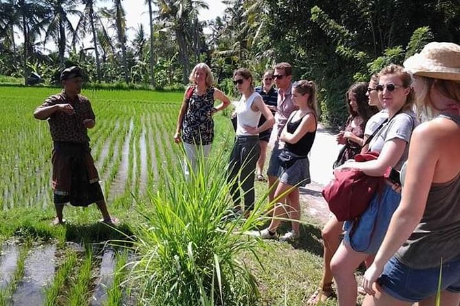 Bali Amazing Cooking Class - FAQ