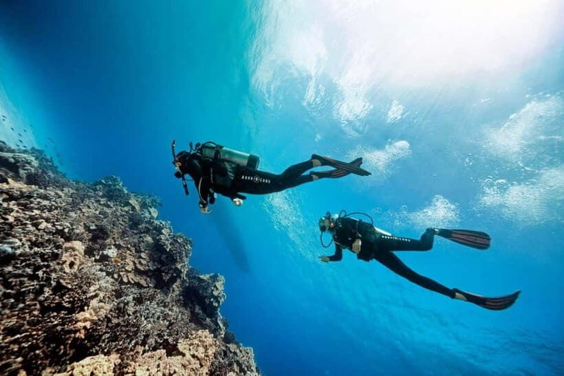 Bali/Amed: 2 Fun Dives for Certified Divers with Transfers - Key Points