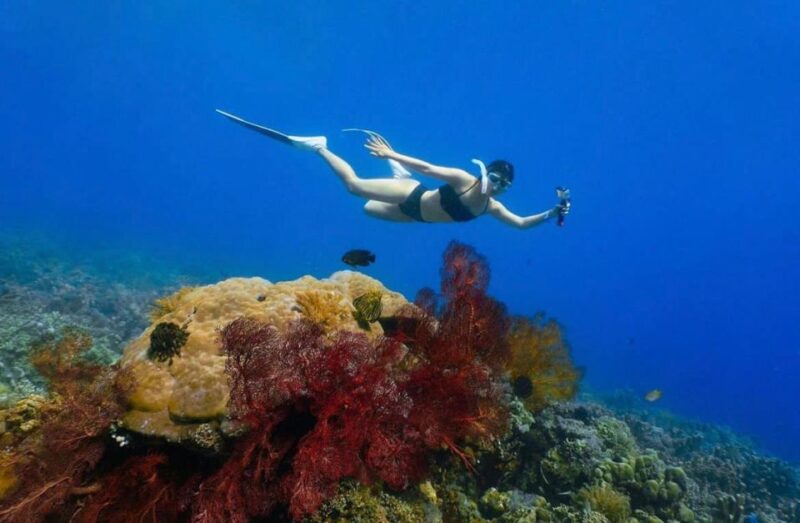 Bali: Amed, Jemeluk & Lipah Beach Snorkeling Adventure - Bali: Amed, Jemeluk & Lipah Beach Snorkeling Adventure – An In-Depth Look