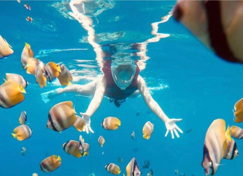 Bali: Amed, Jemeluk & Lipah Beach Snorkeling Adventure - The Sum Up