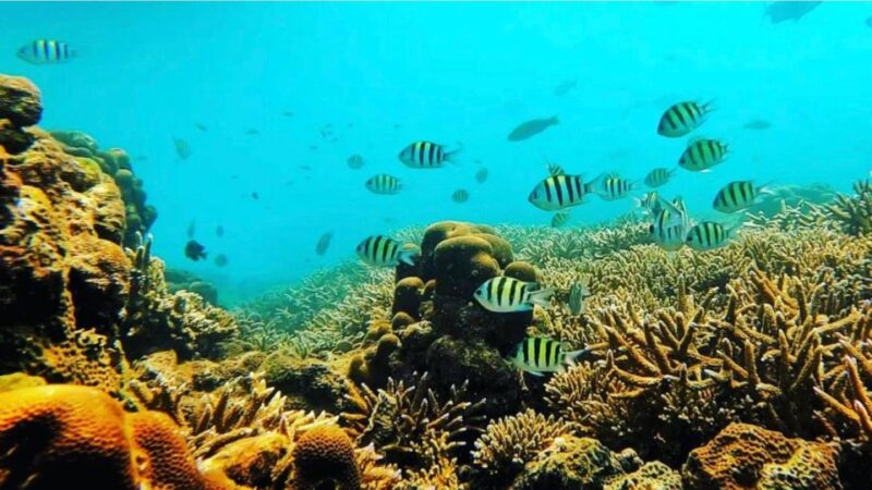 Bali: Amed, Jemeluk & Lipah Beach Snorkeling Adventure - FAQ